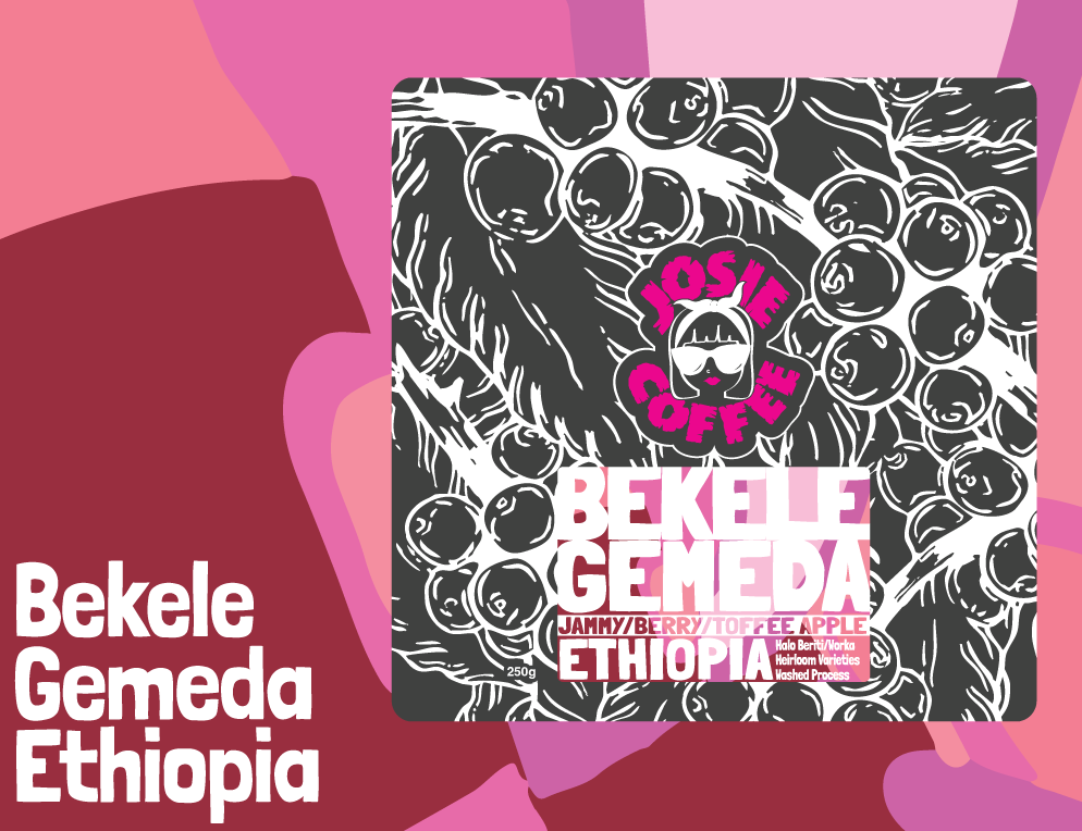 Ethiopia - Bekele Gemeda - Halo Beriti - Washed – Josie Coffee